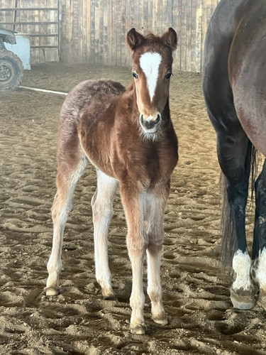 Clark Kent | Flying+Seven+Ranch+