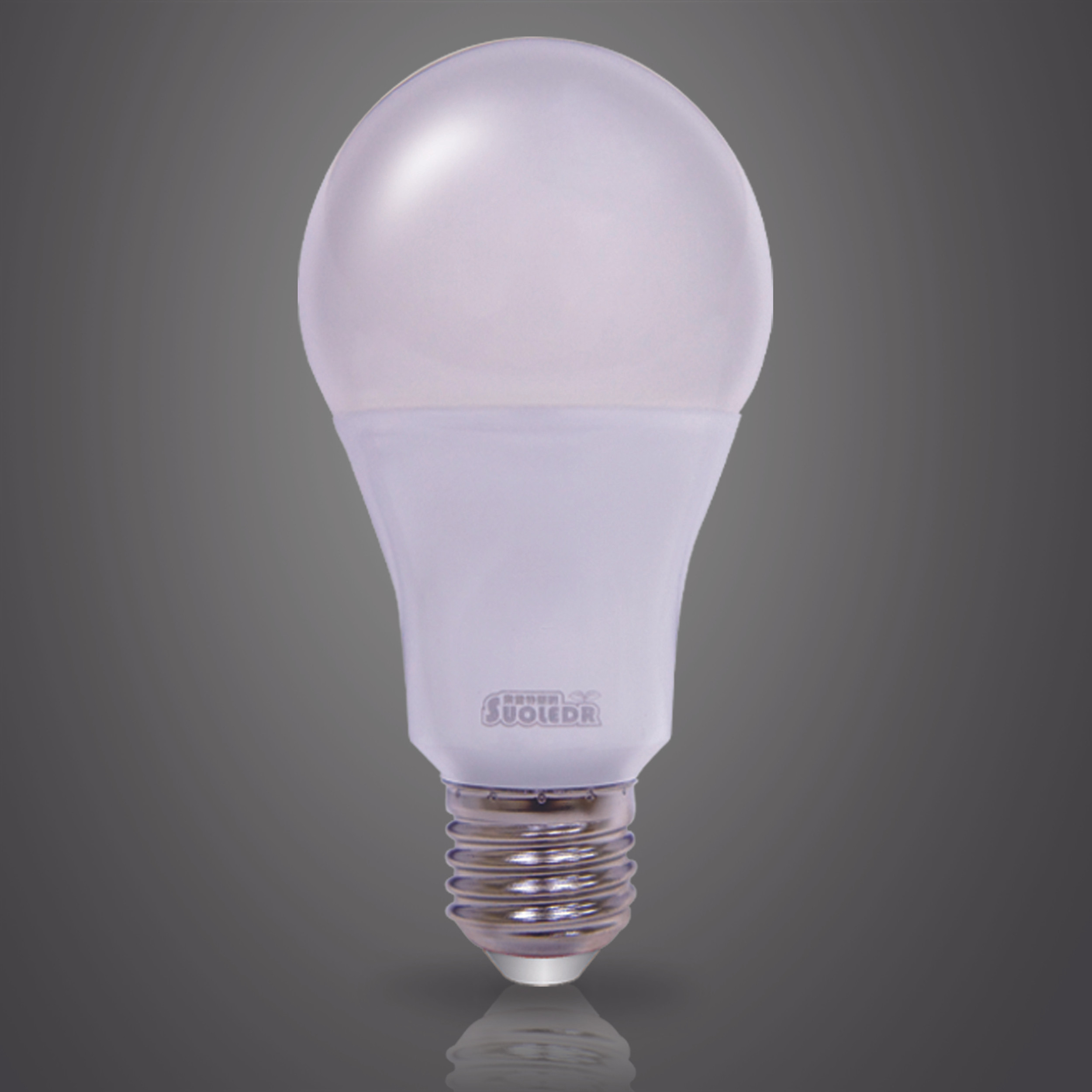 LED燈泡系列 | 索雷特照明SUOLEDR