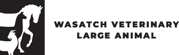 Wasatch Veterinary Large Animal | Utah Mobile Clinic | Veterinarian