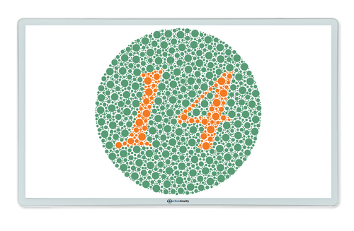 All-in-one eSee Digital Acuity Chart - Premium | eseeacuity