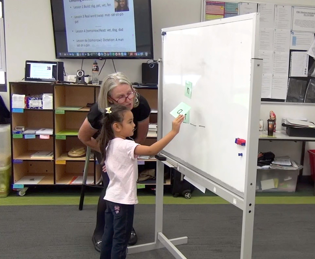 Sounds-Write literacy training for education professionals