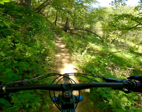 Big Dipper Trail | WhiterockConservancy