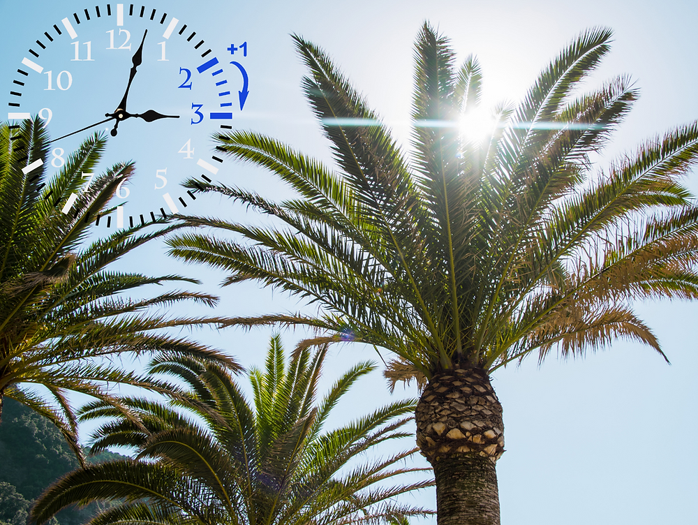 Spring Forward Fall Back Daylight Saving Time spring-forward-fall-back-daylight-saving-time
