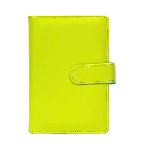 Lime A6 Budget Binder/Planner | Landlvinyls