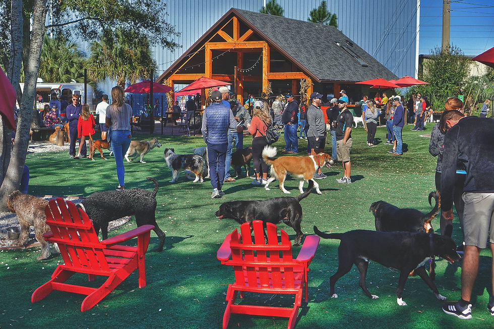 Contact Us BrewHound Dog Park Bar contact-us-brewhound-dog-park-bar
