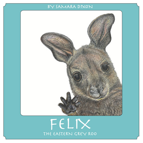 Felix the Eastern Grey Roo | Sam Dixon