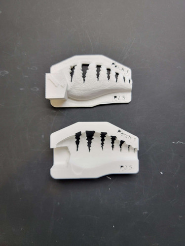 P2.5 Perch 1 stencil | 74custombaits