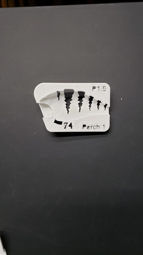 P1.5 Perch 1 stencil | 74custombaits