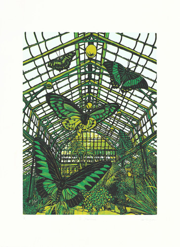 The Collector | Nat McIntyre