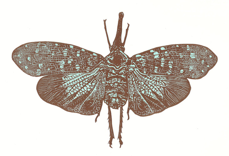 Linocut prints | Nat McIntyre