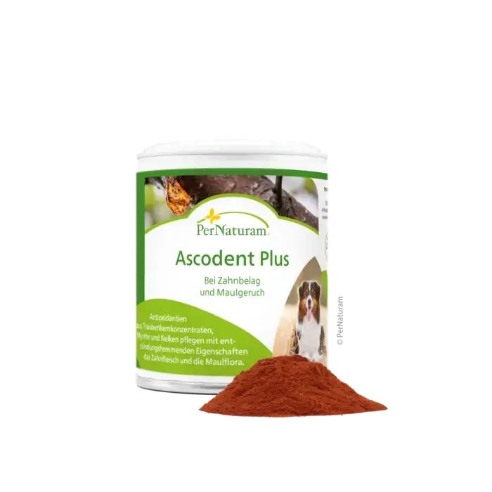 Pernaturam Ascodent Plus 50 g | equinenaturelle