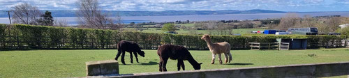 All Products | Church Farm Events