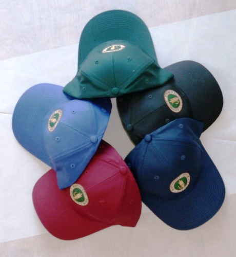 NWSS Official Logo Cap | nw-steam-society