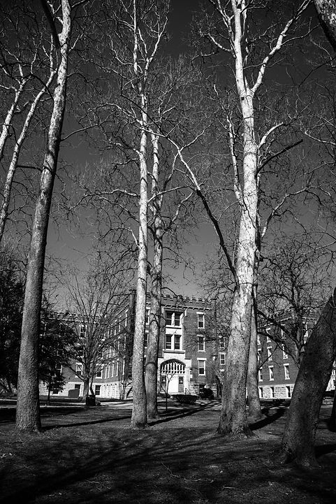 Wildlife/Nature | tonystrawphotography