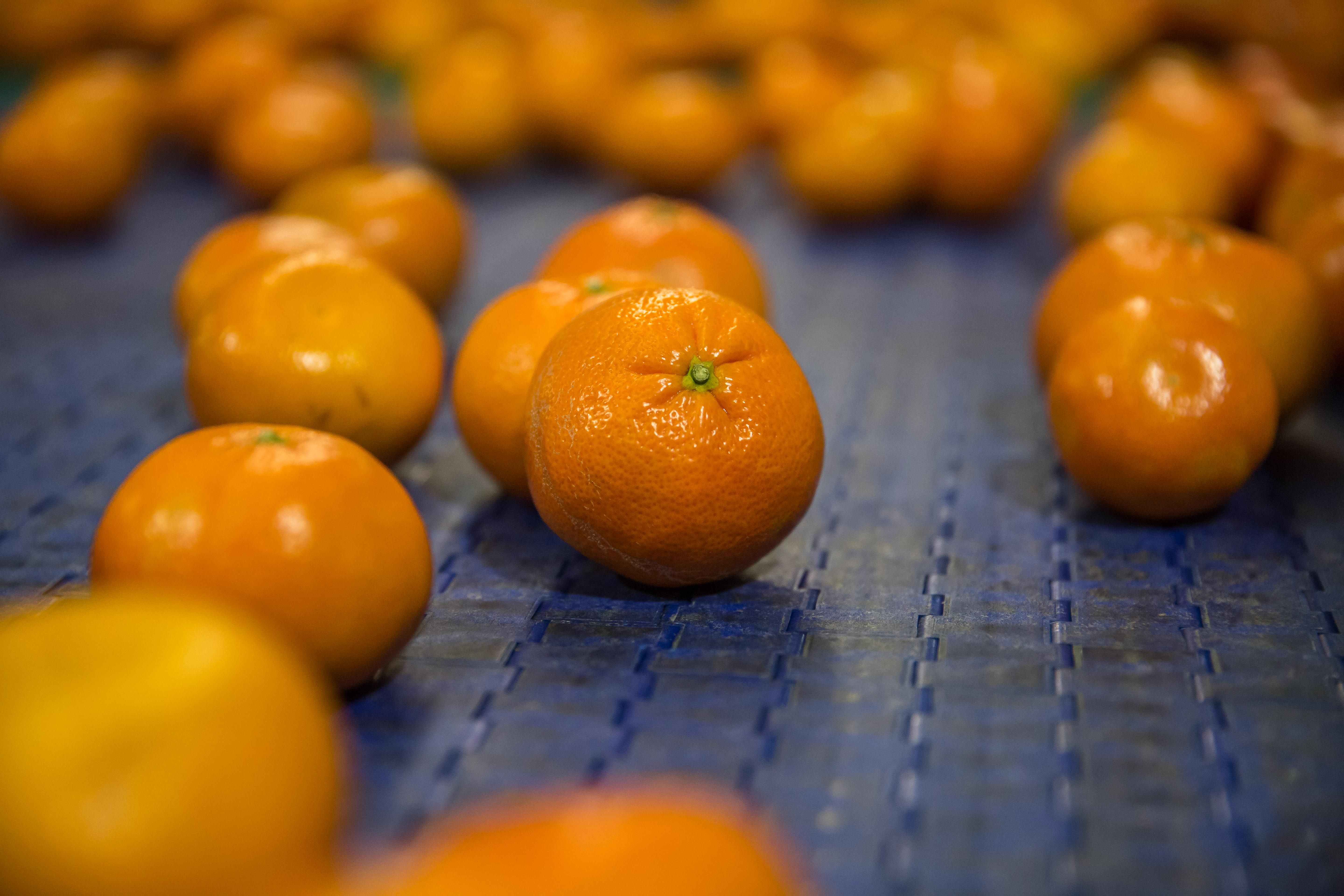 Packhouse | Unipack | South Africa