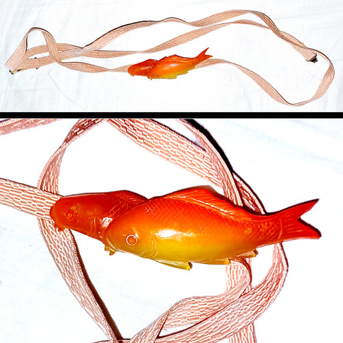 Koi Obidome with Obijime | Wafuku