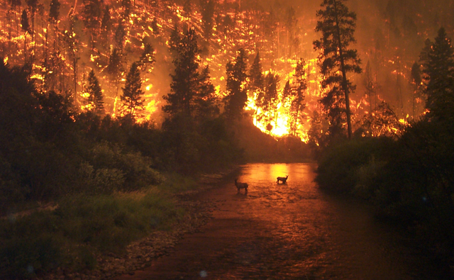 Music for a Burning World: 10 Artists Singing About Our Planet's Peril