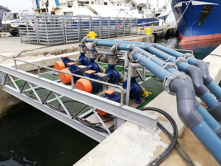 Seaflower | WML Coast Namibia