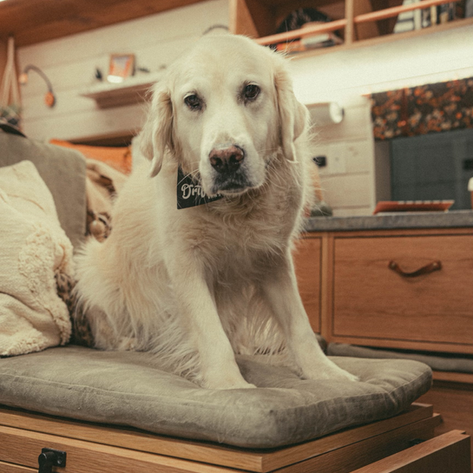 Camper Vans | Van Conversion for Sale | Campervans | Drifter Vans