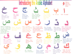 Alphabet and Numbers | learn-arabic-