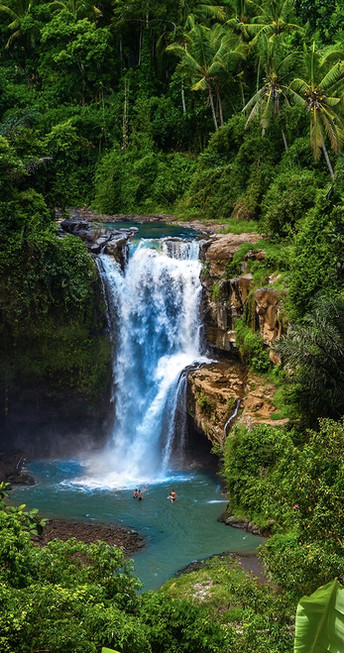 Ubud Valley Resort | Boutique Resort in Ubud Bali