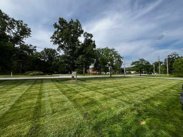 Portfolio | GoGreen Landscape