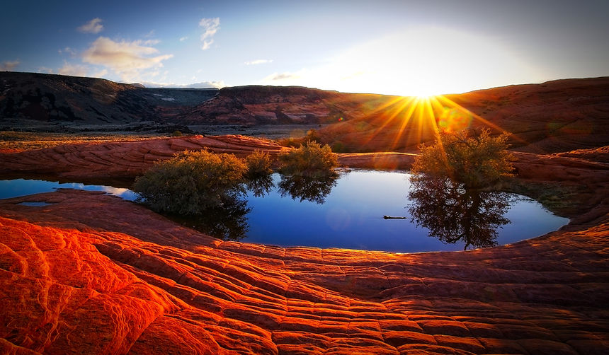 News | Sharon Gillespie