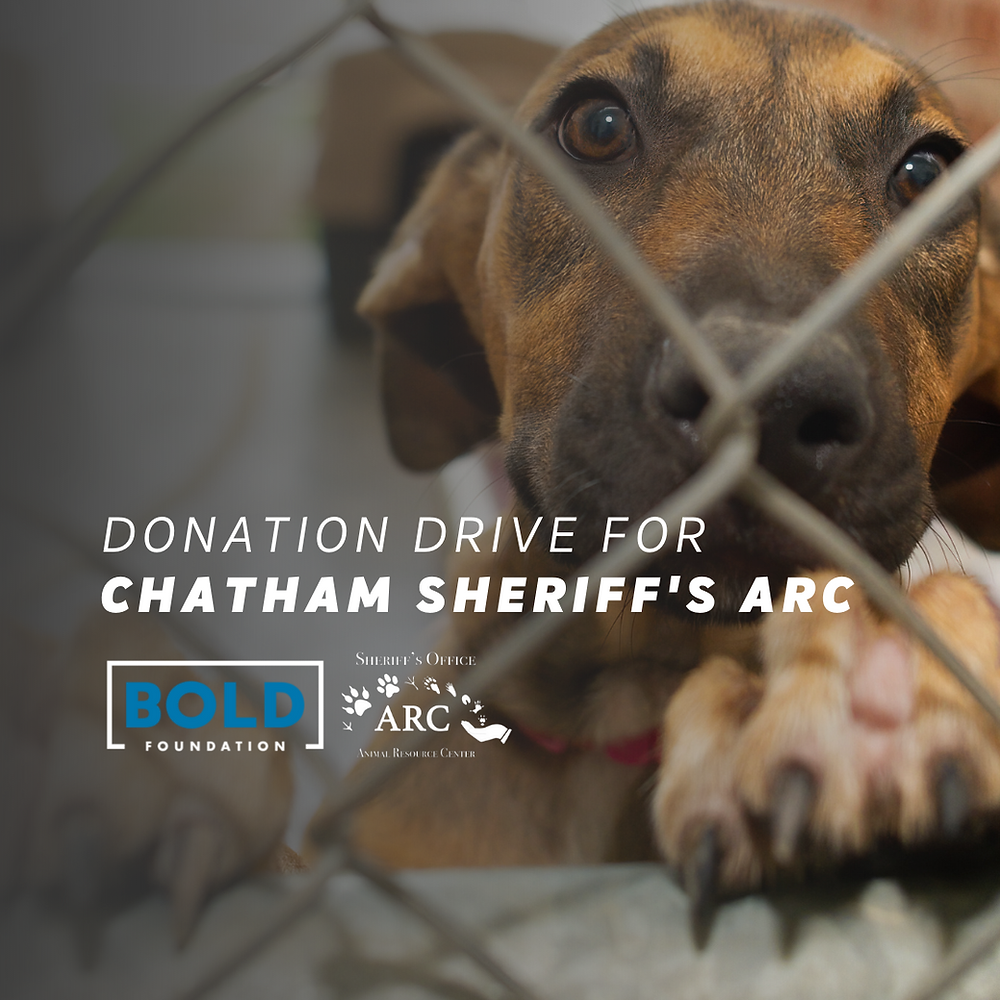 Donation Drive for Chatham Sheriff's ARC