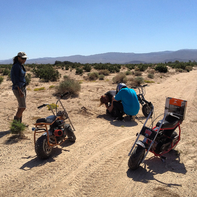 How can you BYOB?/A brief history of the event and all this year's details!