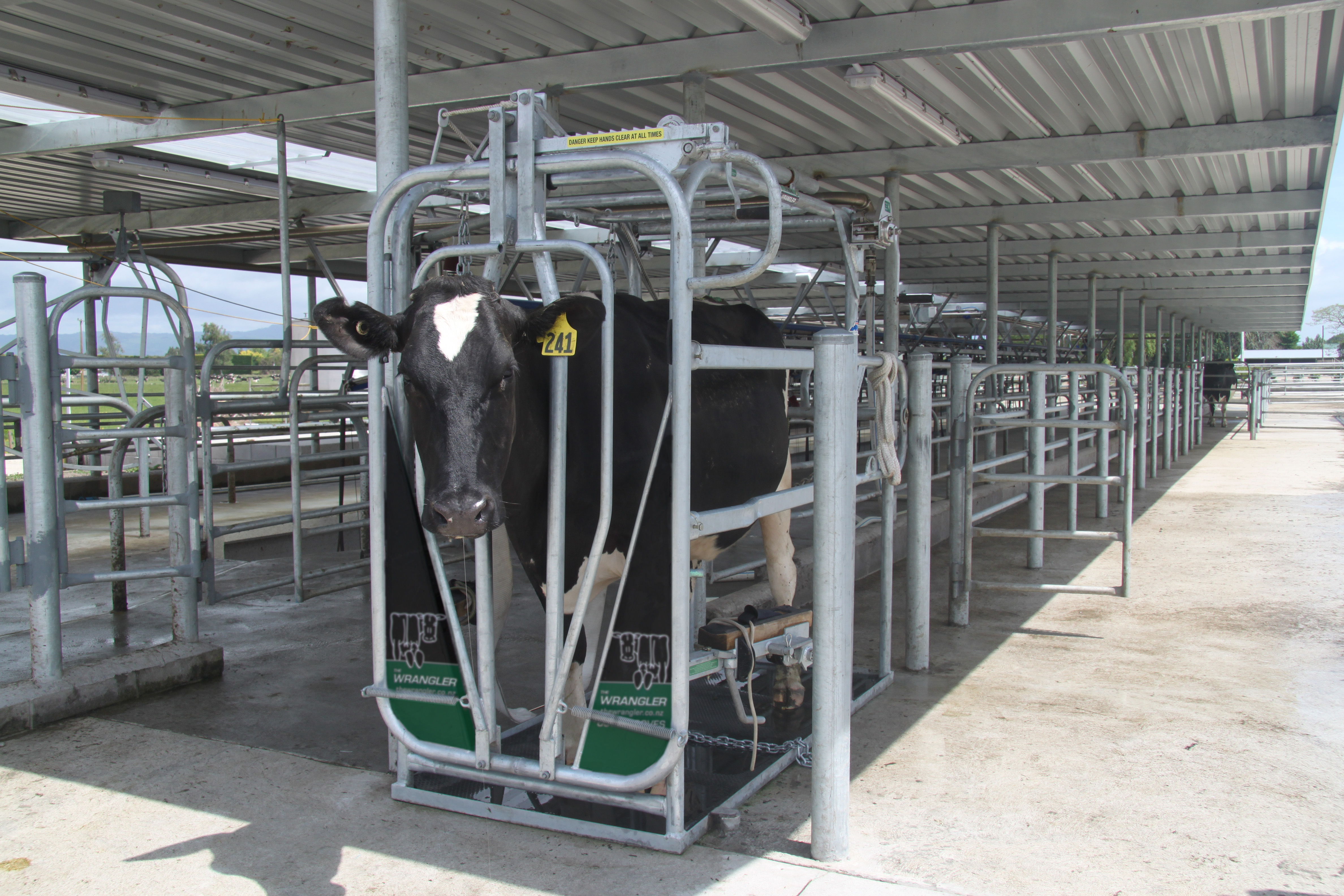 The Wrangler Cattle Crush NZ | Hooves | New Zealand