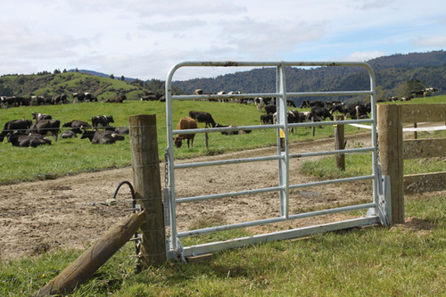 Ride Over Gate