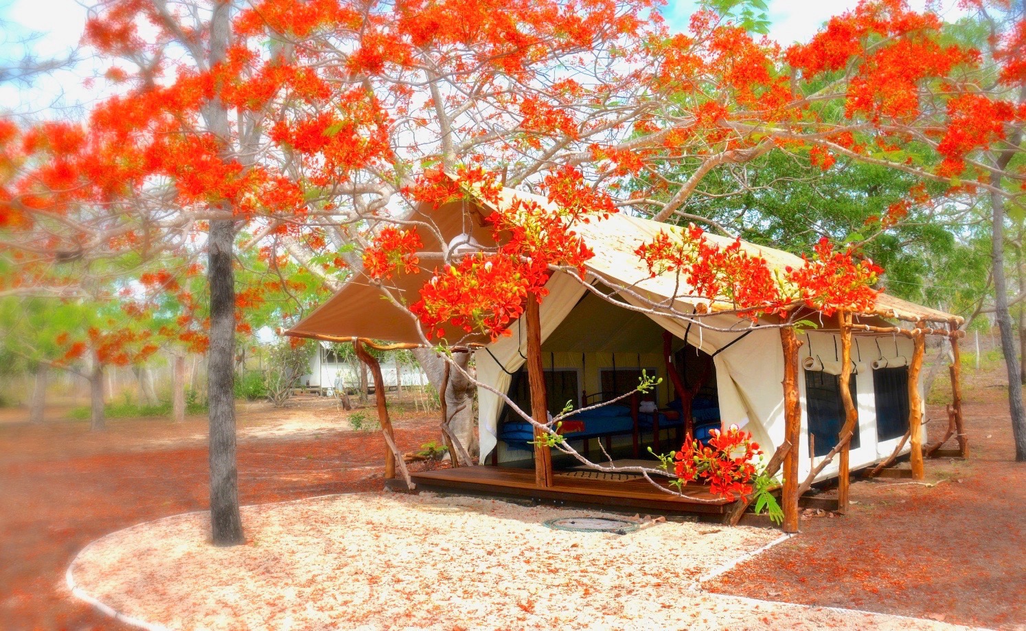 Seisia accommodation | Roko Pearls Australia Pty Ltd | Torres Strait