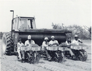 About Us | Holland Transplanter