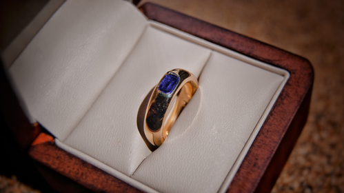 THE PRECIOUS LINE | King of The Bling