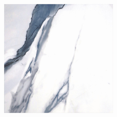 ENE06 Calacatta Oceanic 48x48 Polished Porcelain Tile | Not Just Carpet