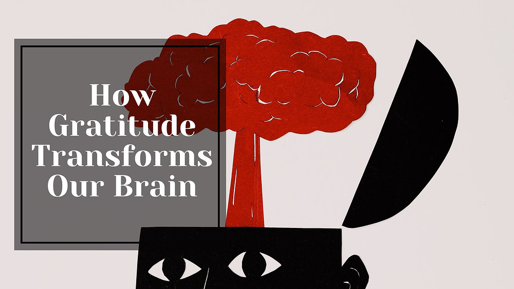 How Gratitude Transforms Our Brain