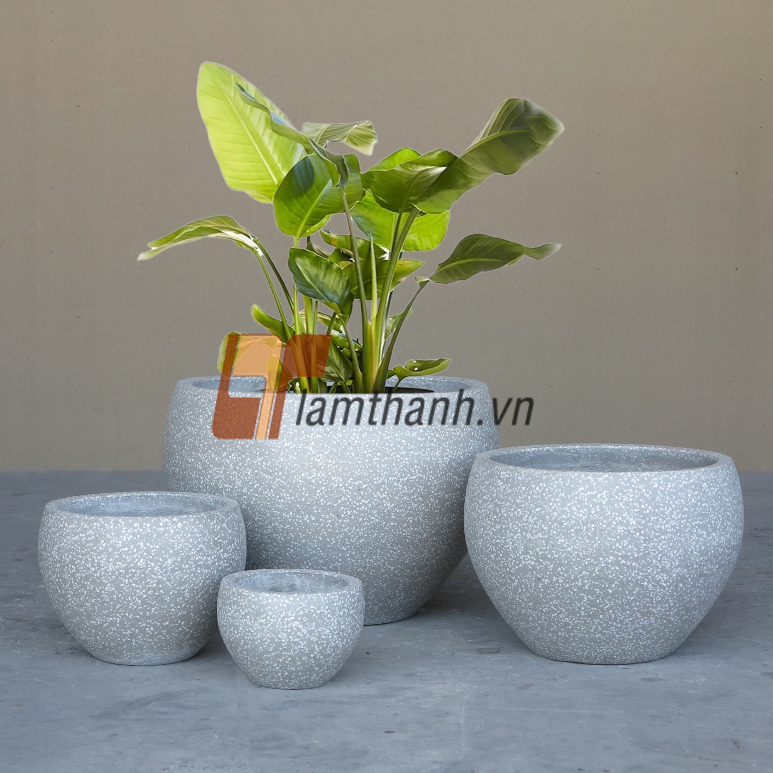 Top 5 Must-Have Terrazzo Planters to Elevate Your Space