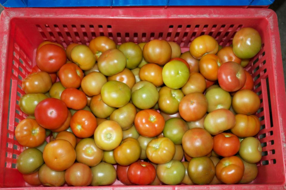 PRODUCTOS | hidroven