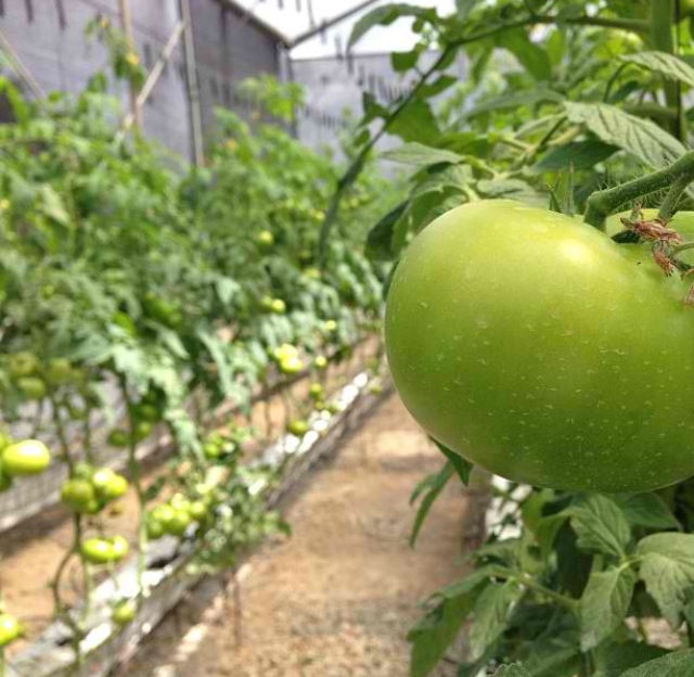 PRODUCTOS | hidroven