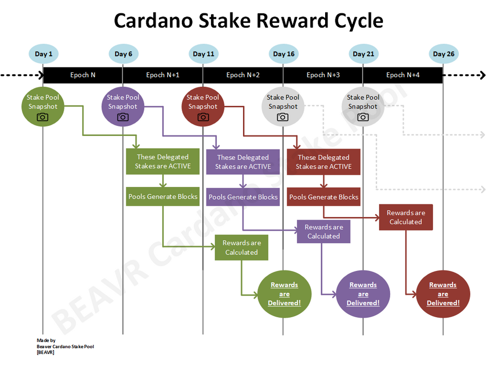 Delegation Cycle - When Will I Get My Stake Rewards?