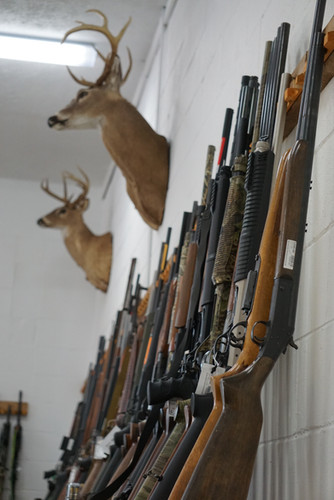 Firearms | Starkvegas Pawn Shop