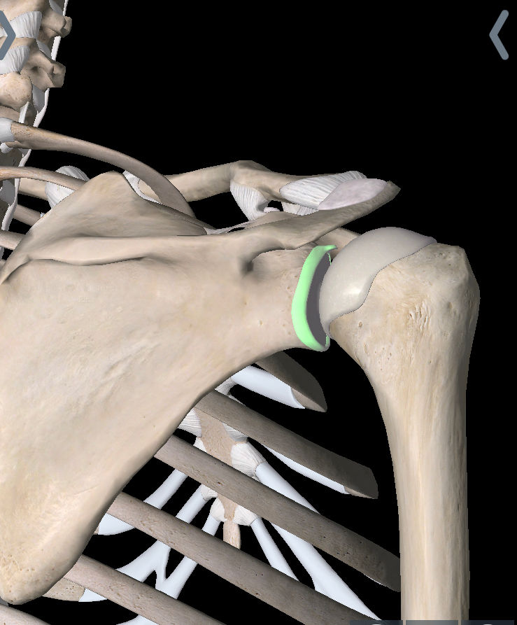 Shoulder Surgery - What Happens After the Operation?