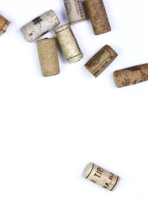 Brix Wine | DETROIT | 1588 Franklin Street, Detroit, MI, USA