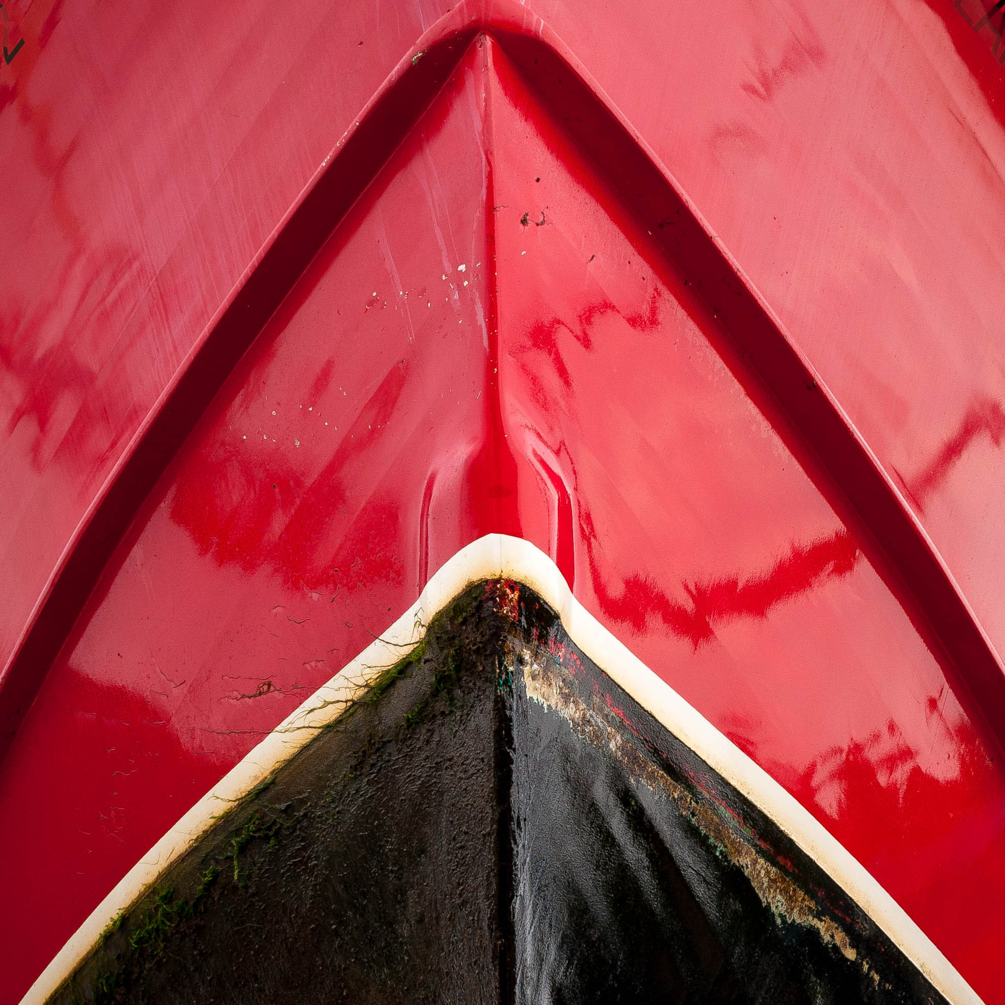 michele-dragonetti | BOAT HULLS