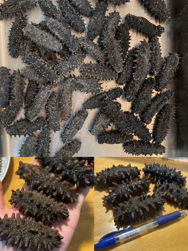 Japan - 48-50 Heads Kanto Prickly Sea Cucumber | 英國湯水媽媽SoupMaMa.UK