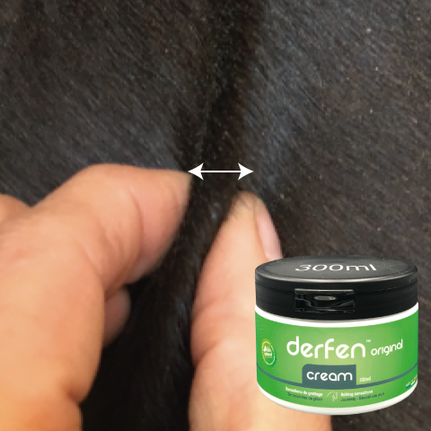 Derfen ™ Original Cream | DoubleDiamond Equine