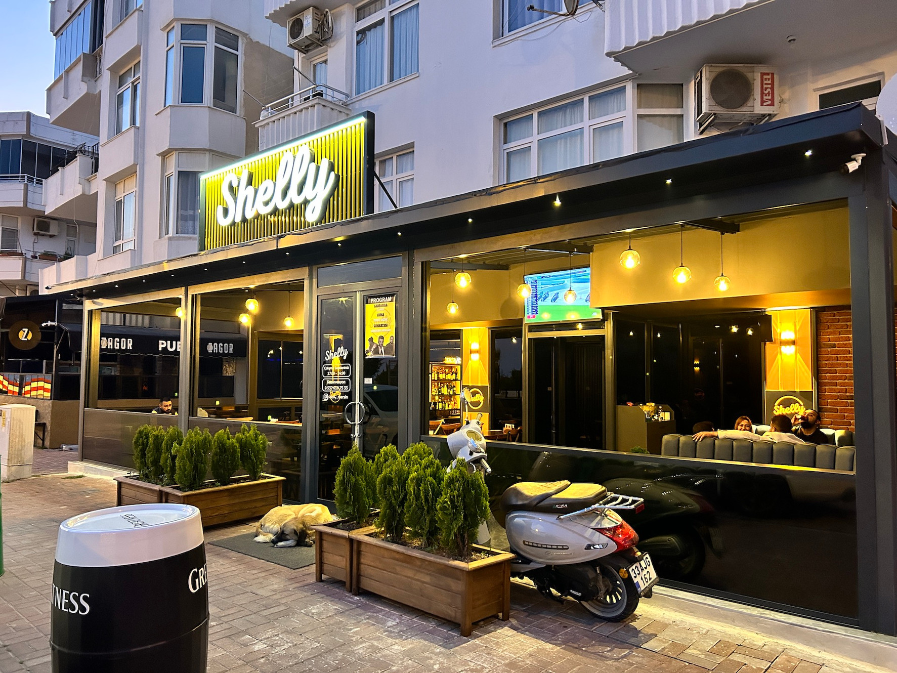 Home | Shelly Bar Mersin