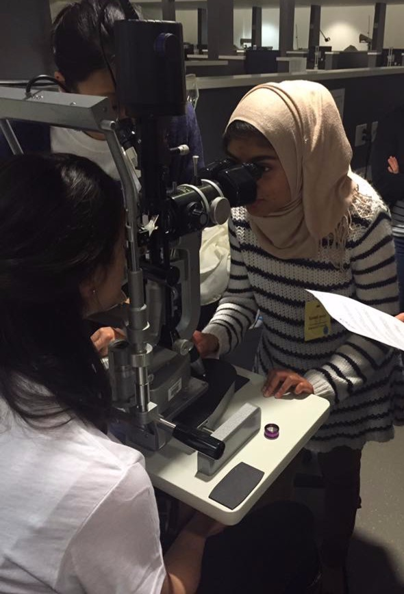 A Pre-Optometry Student Guide