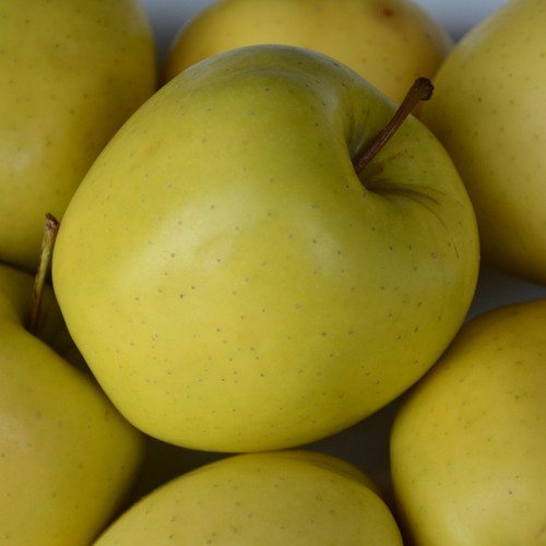 Apfel - Golden | erlenhof