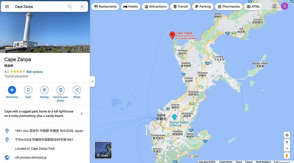 Okinawa | The friendly cat of Cape Zanpa